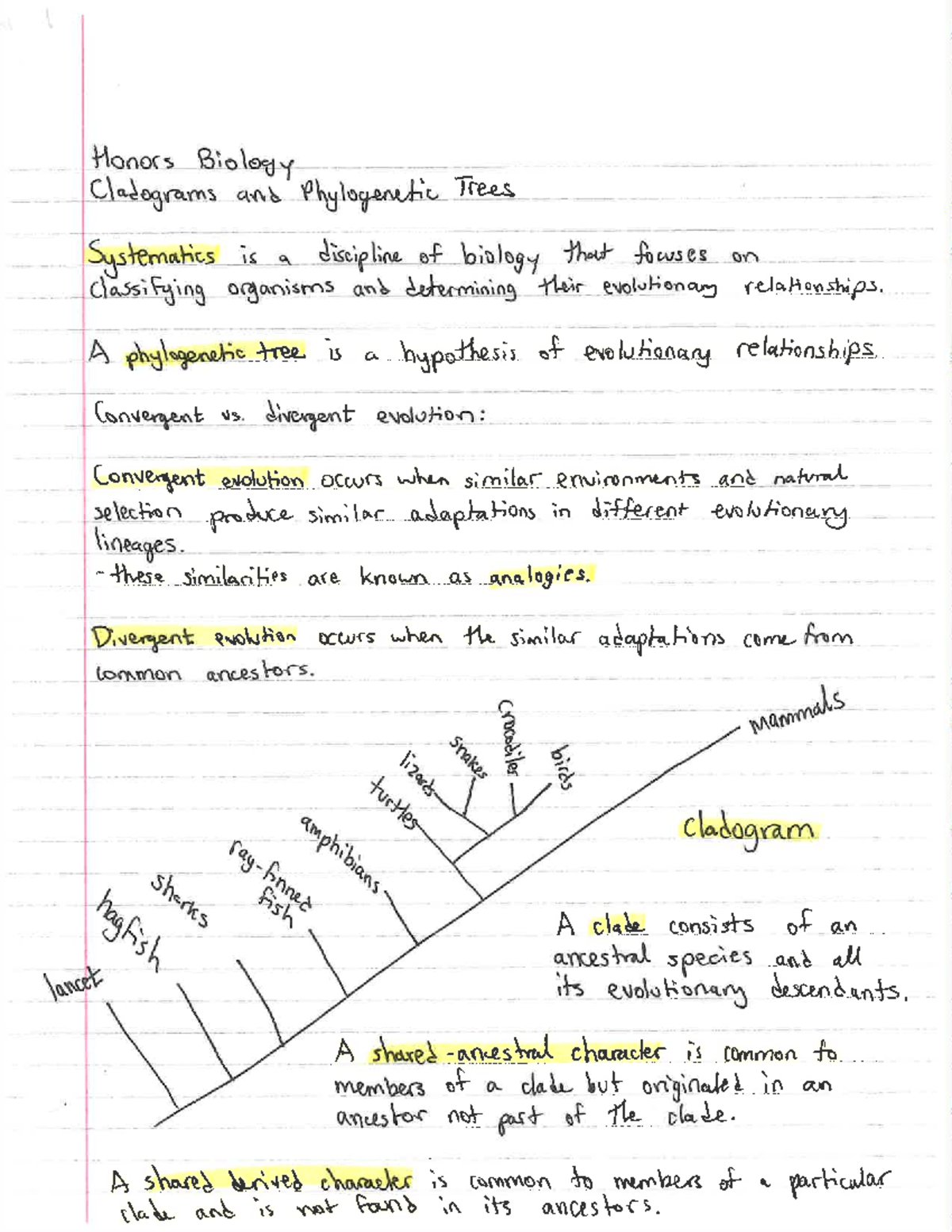 Chapter 19 Notes Packet - General Mathematics - Studocu