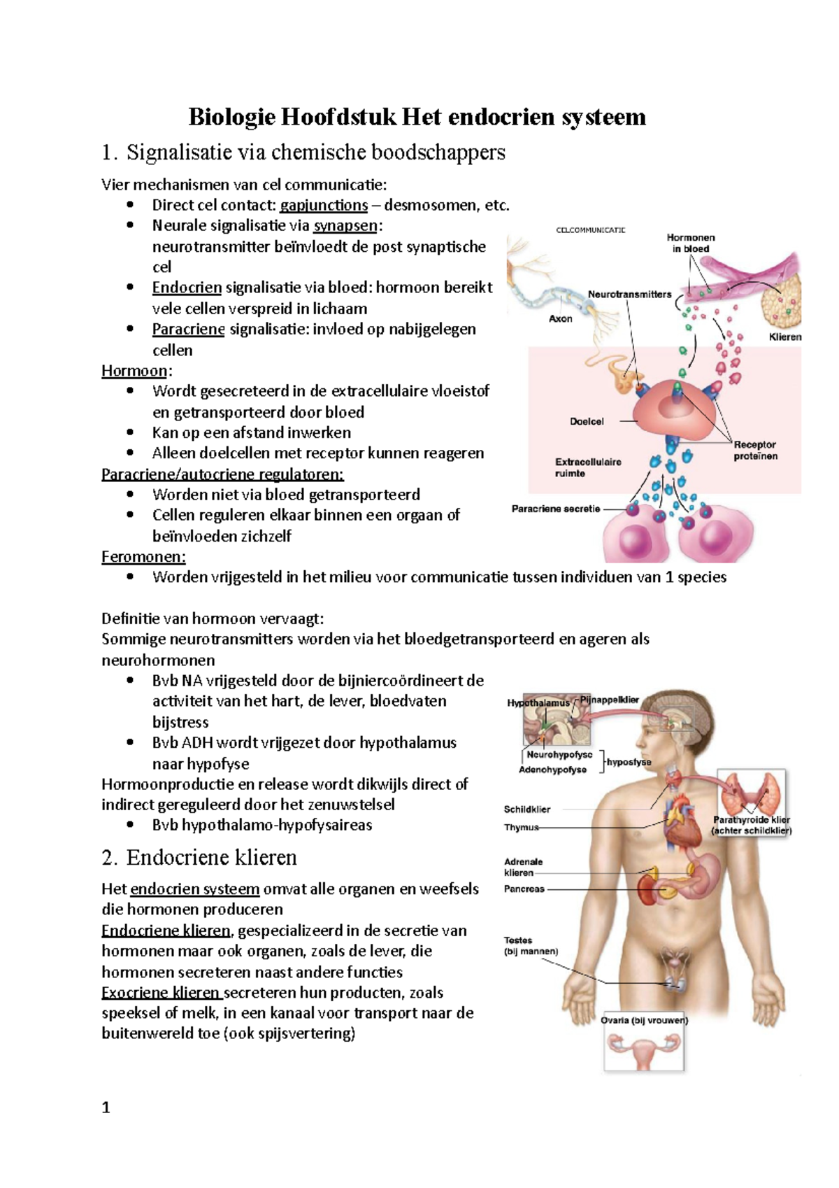 Biologie Hoofdstuk Het endocrien systeem - Signalisatie via chemische ...