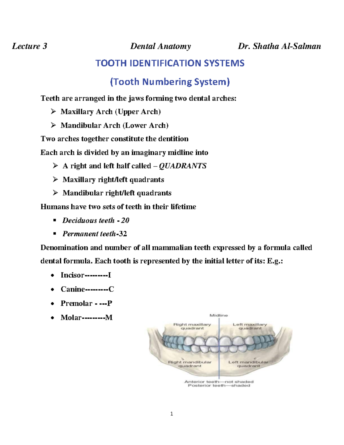 Tooth numbering system - Lecture 3 Dental Anatomy Dr. Shatha Al-Salman ...