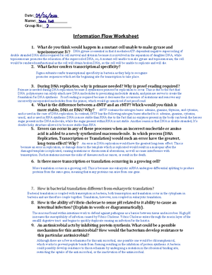 Fermentation and Cellular Respiration Worksheet copy - University of ...