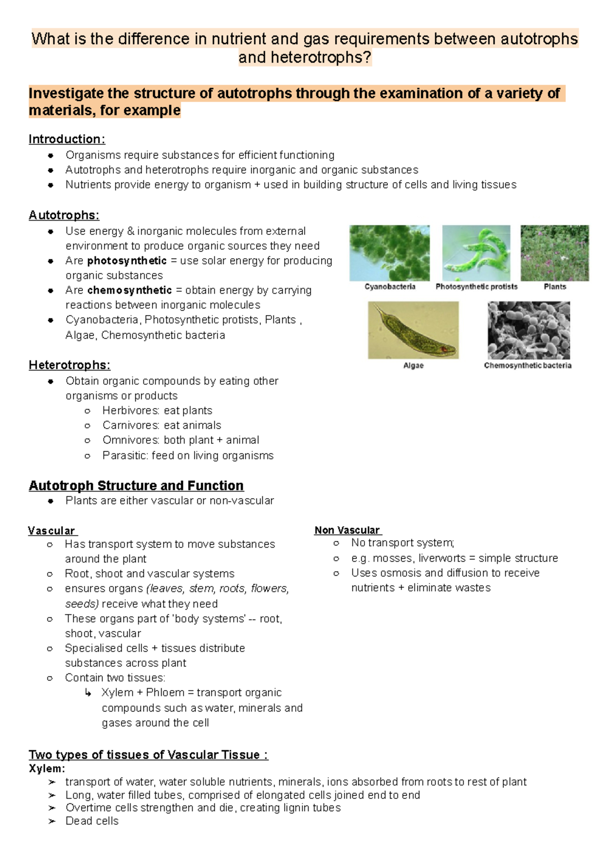Distinguish Between Autotrophs And Heterotrophs