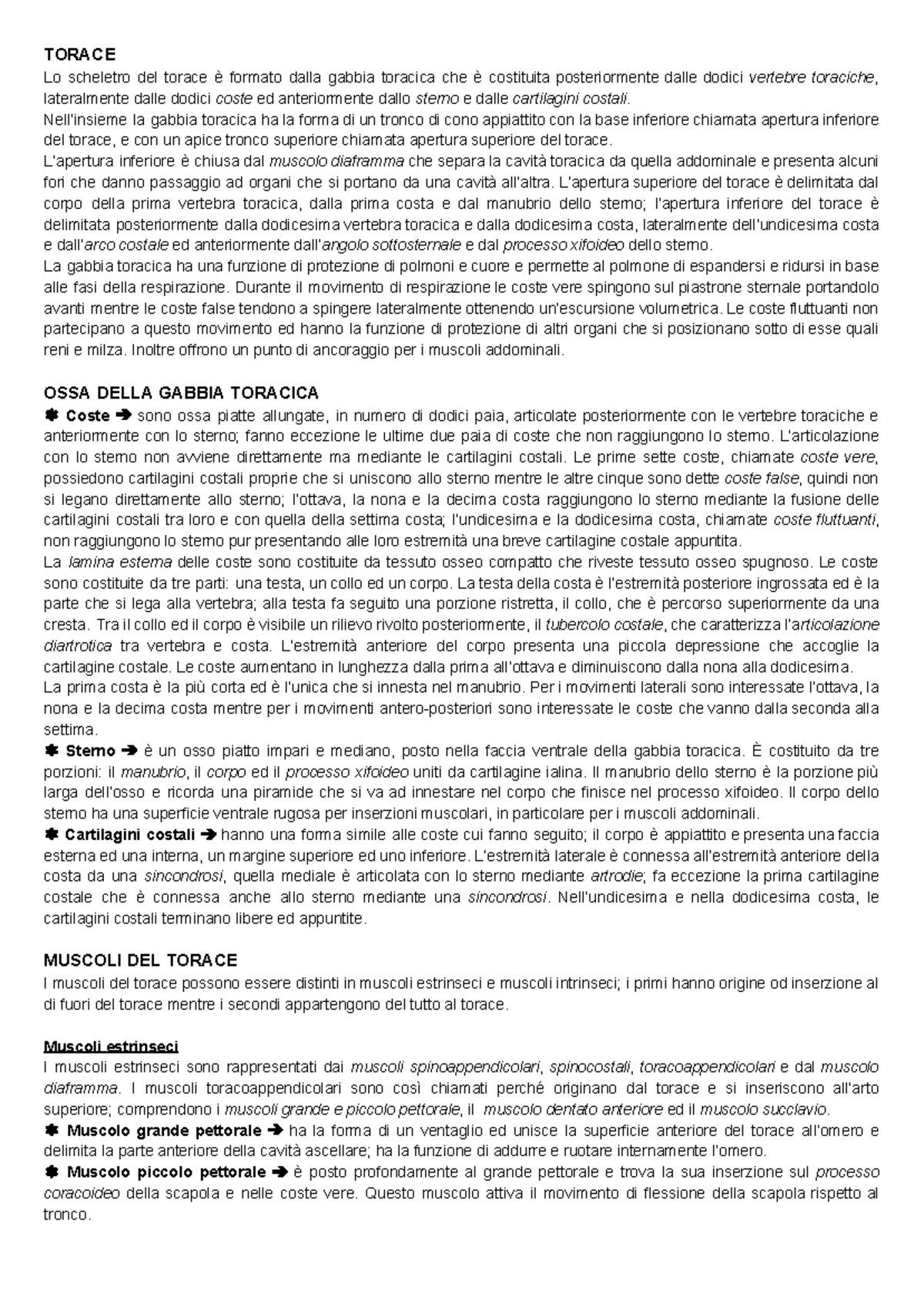 Torace - Anatomia umana - TORACE Lo scheletro del torace è formato ...