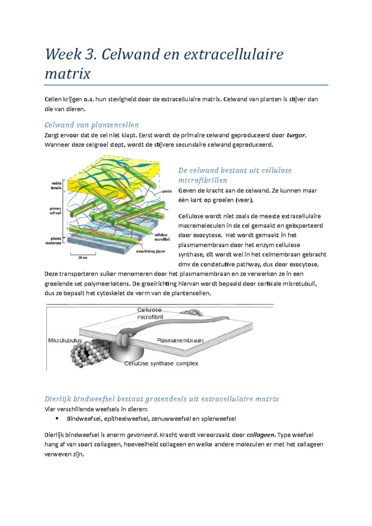 Chapter 20 - Samenvatting Essential Cell Biology - Week 3. Celwand en ...