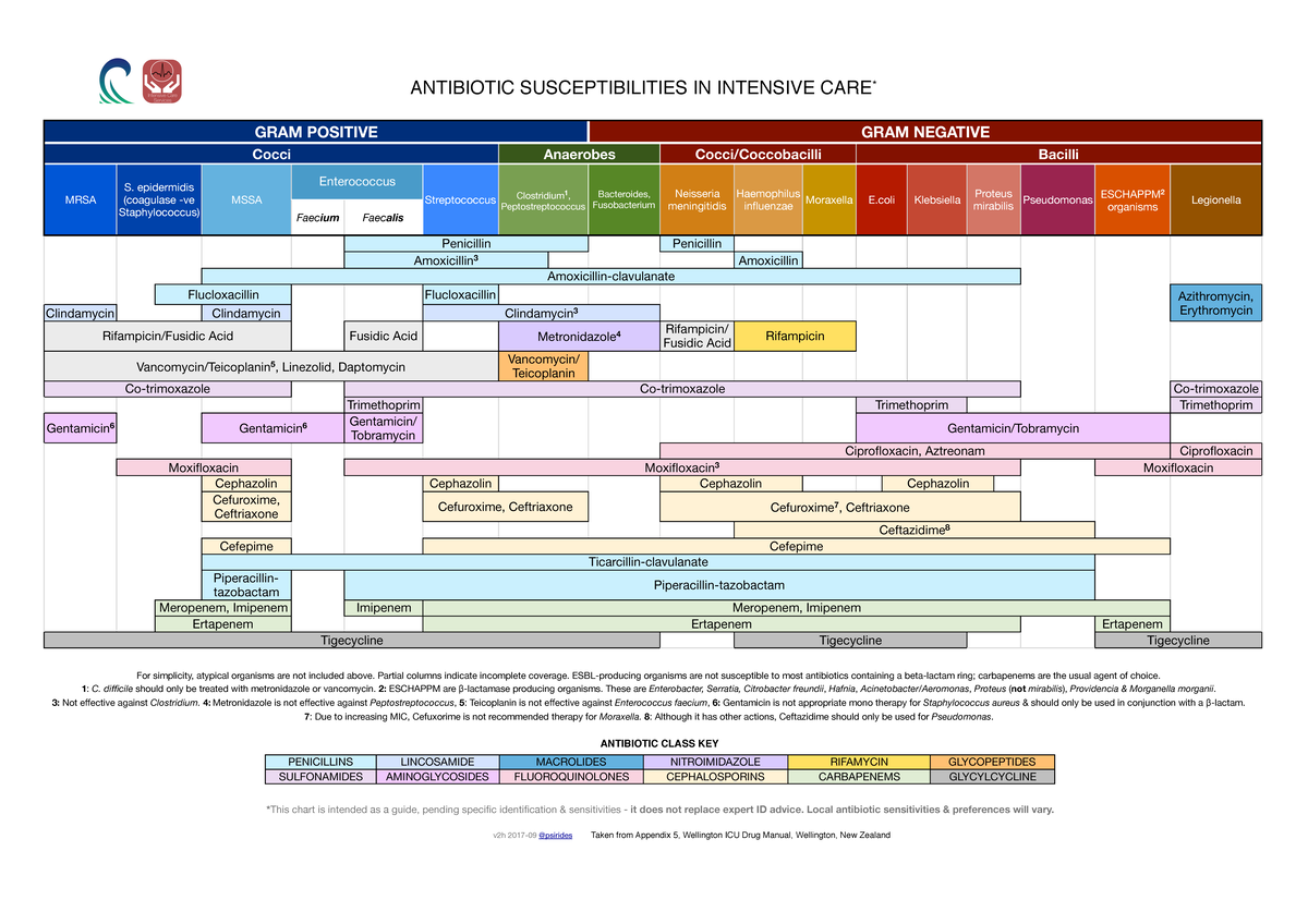Wellington ICU Antibiotic Summary - GRAM POSITIVE GRAM NEGATIVE Cocci ...