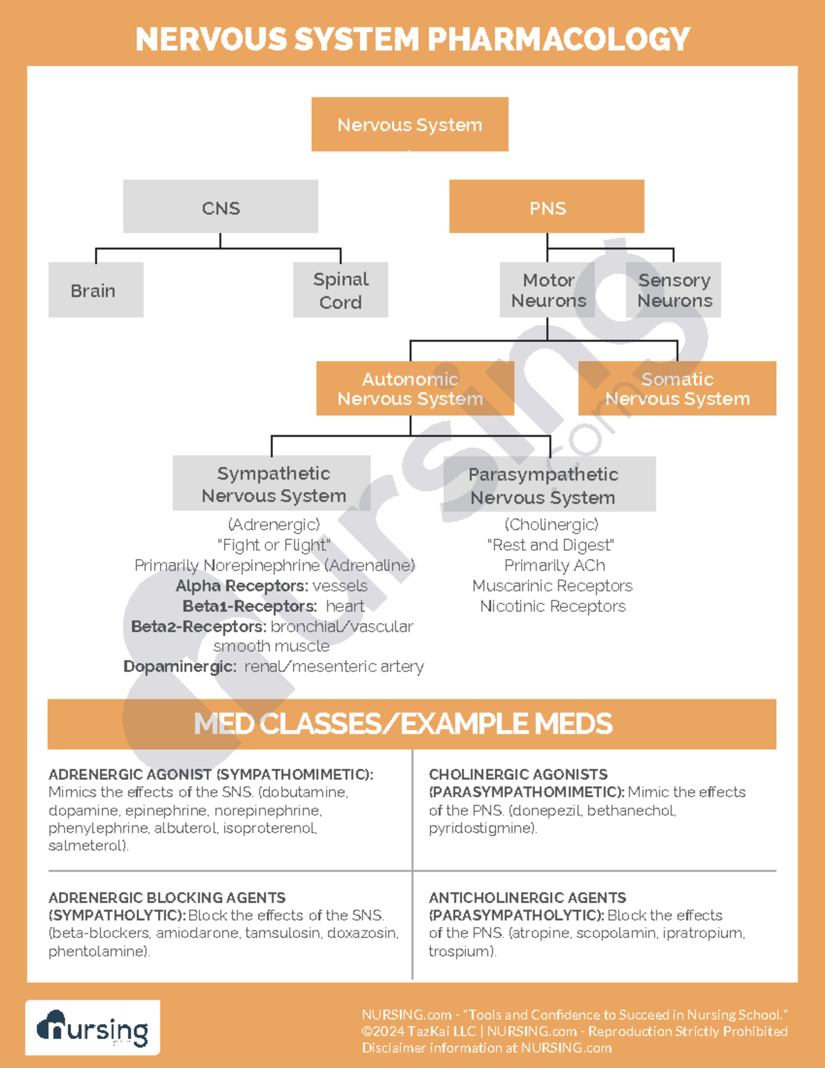 Cs-pharm-003-nervous system pharmacology - NERVOUS SYSTEM PHARMACOLOGY ...