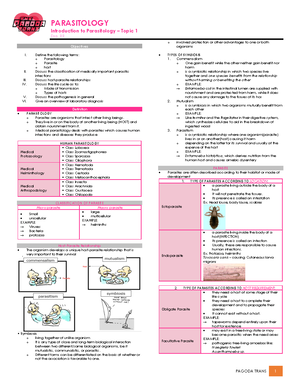 Cestodes and trematodes - CESTODES (Tapeworms/Flatworms) Phylum ...