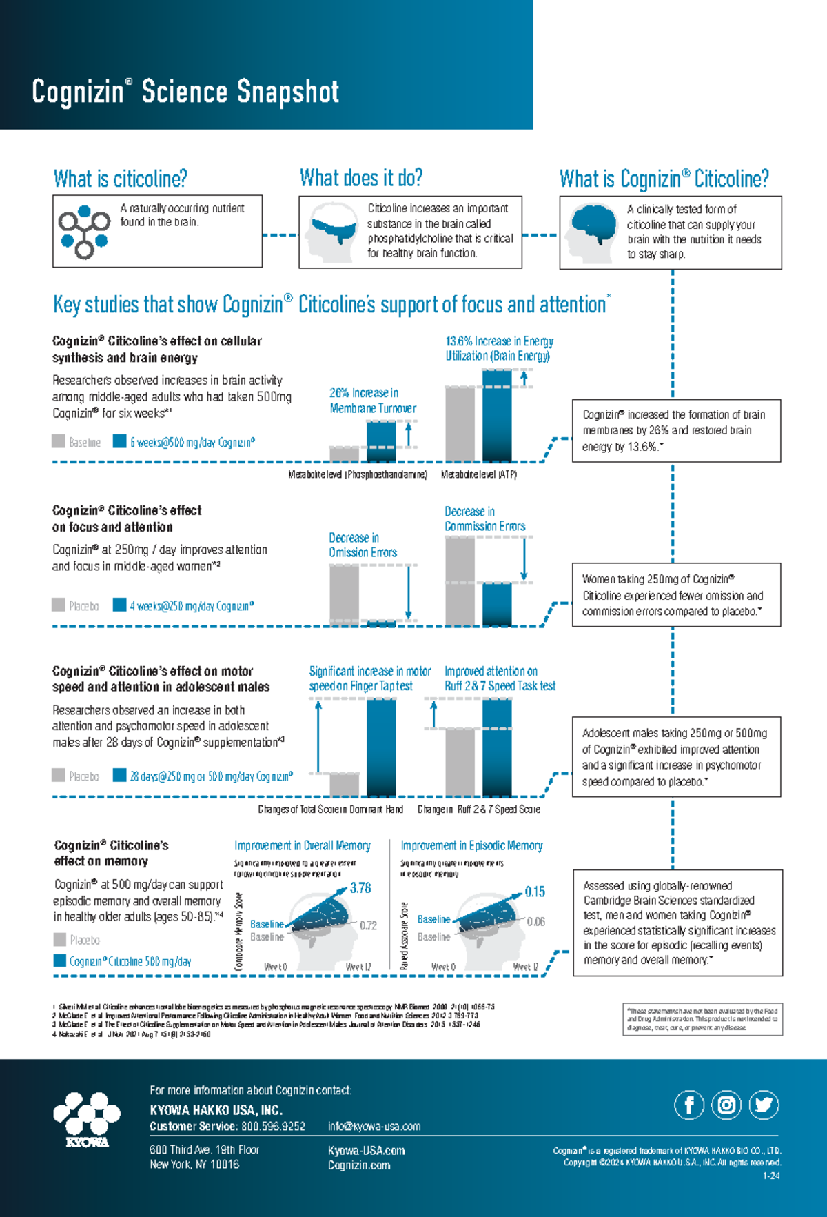 Cognizin Science Snapshot Infographic 2024 - A naturally occurring ...
