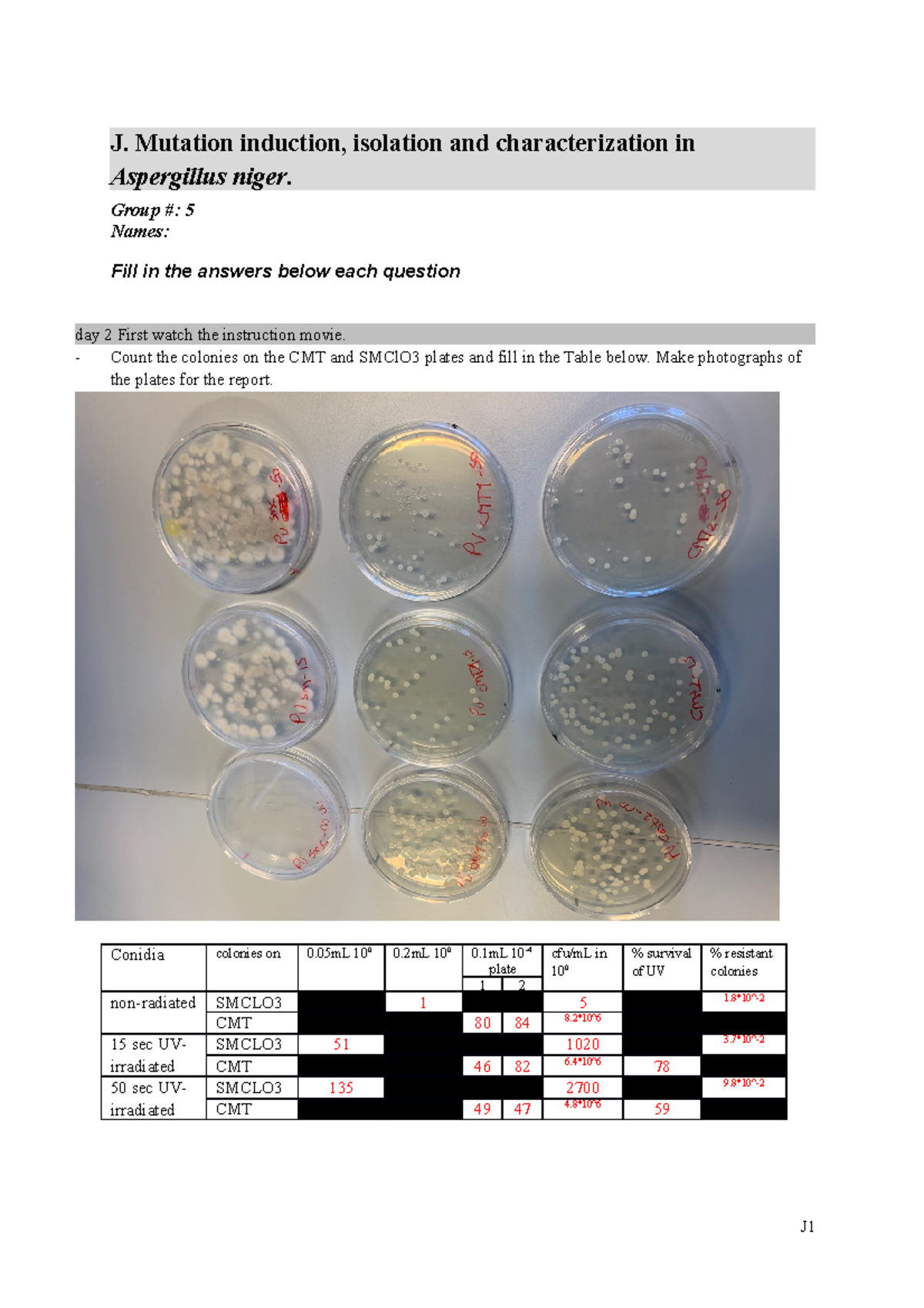 Exp J Mutation induction, isolation and characterization in Aspergillus ...