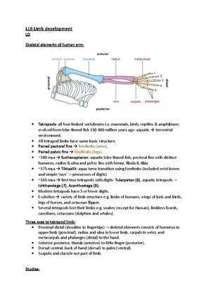 Anatomy - ANATOMY 'M ! ! ! objective : how cells are organised Four ...