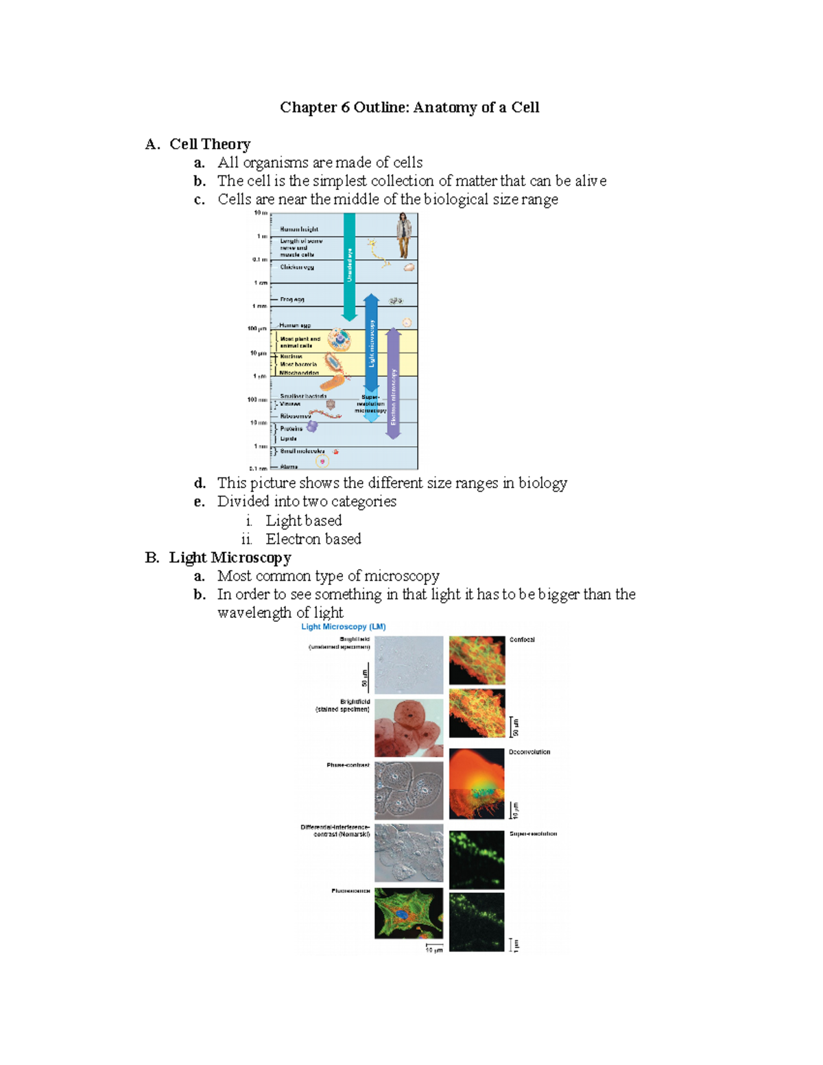Chapter 6 Outline - BIOL 1201 LiCata - Chapter 6 Outline: Anatomy of a ...