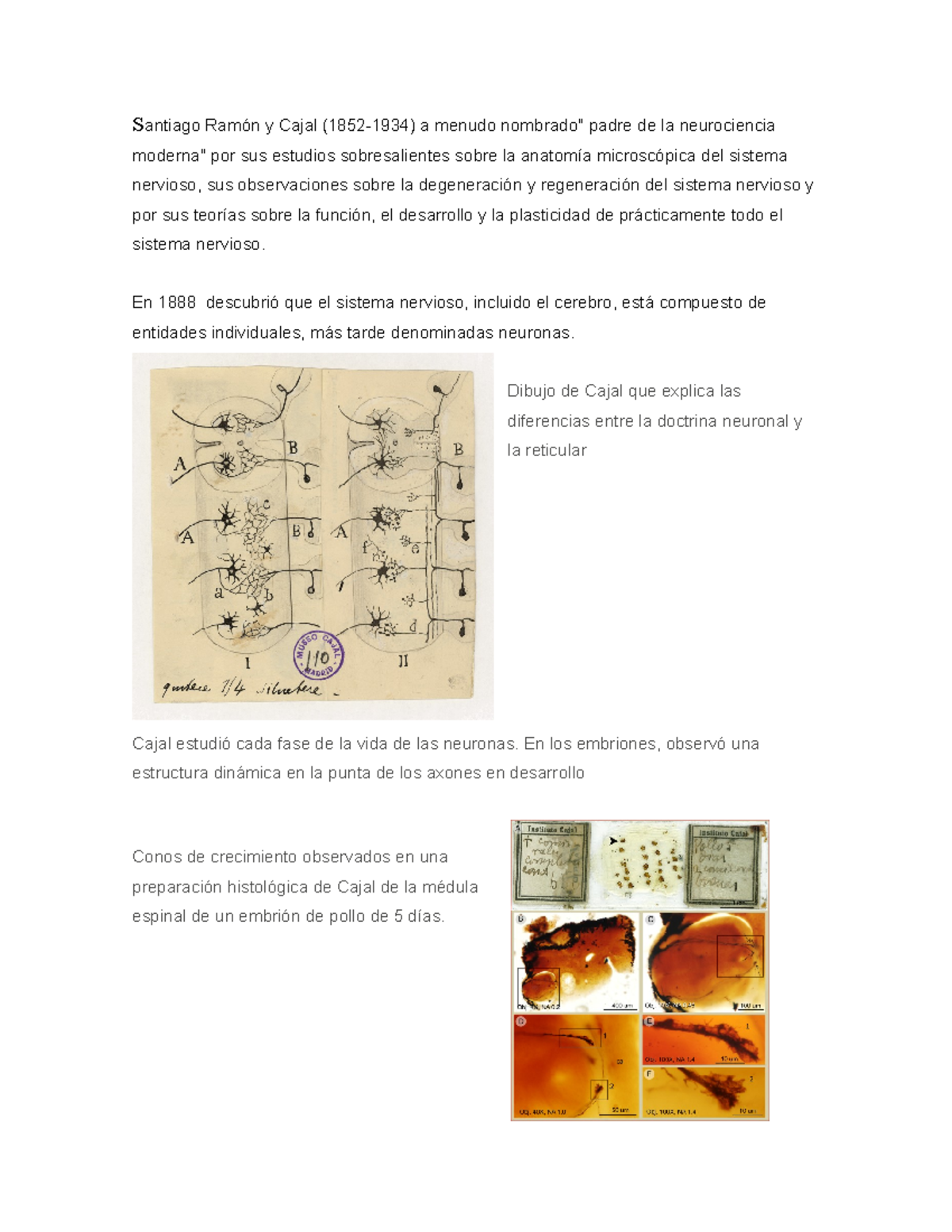 Santiago Ramón y Cajal - trabajo de investigacion - Santiago Ramón y Cajal (1852-1934) a menudo ...