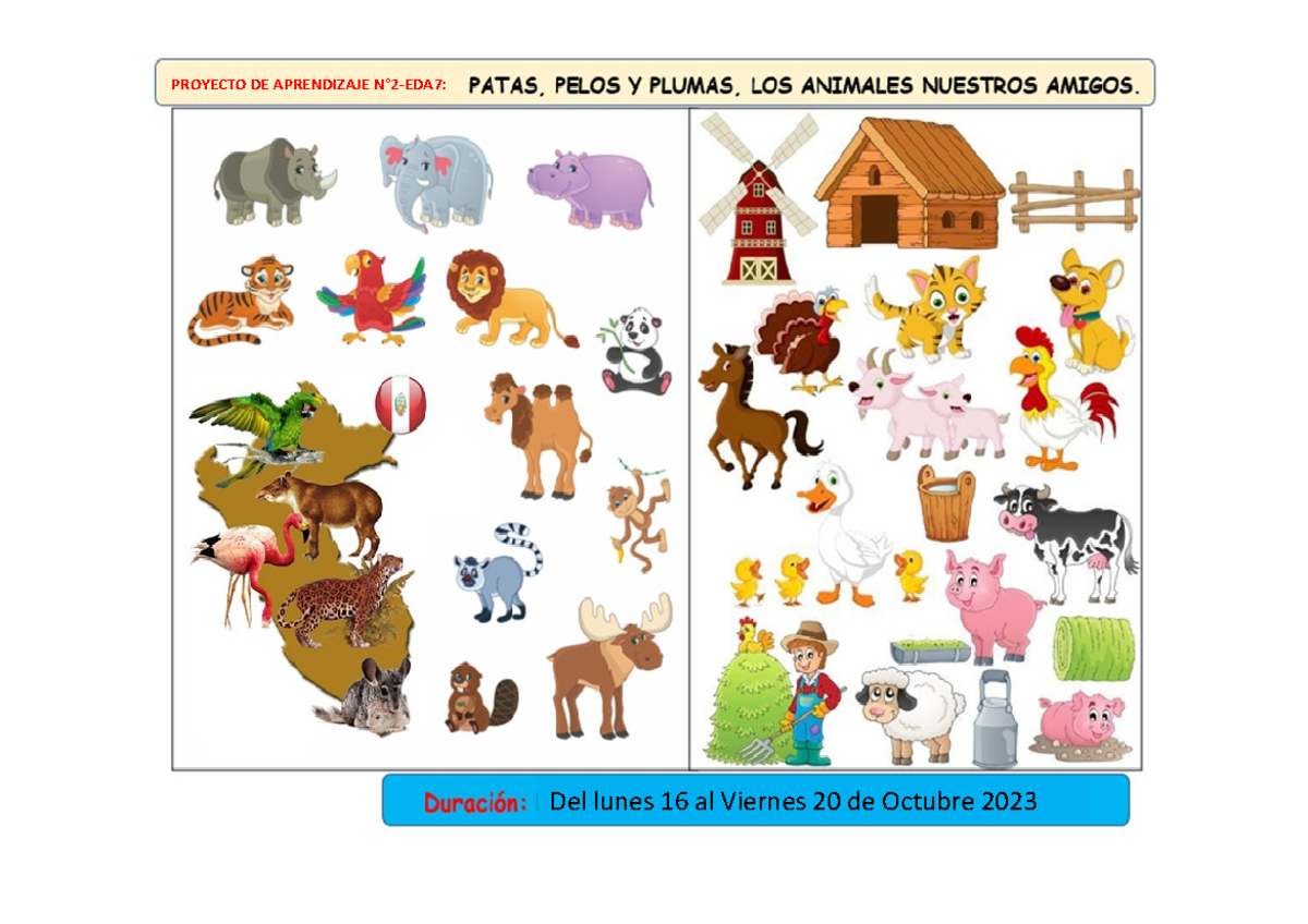 PROY.3 Animales -EDA7 - ayuda de modelo de proyecto para nivel inicial ...