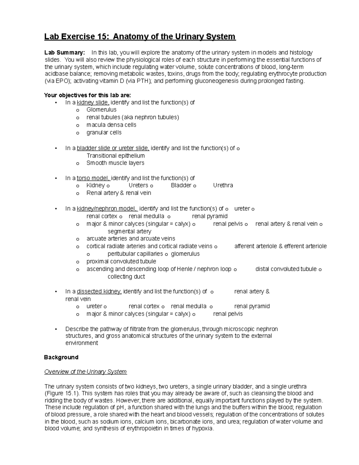 LAB 15 - Lab Exercise 15: Anatomy of the Urinary System Lab Summary: In ...