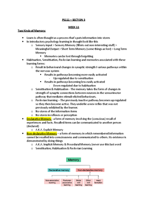 Eyes - cranial nerves and neurology - PS111 - The accommodation reflex ...