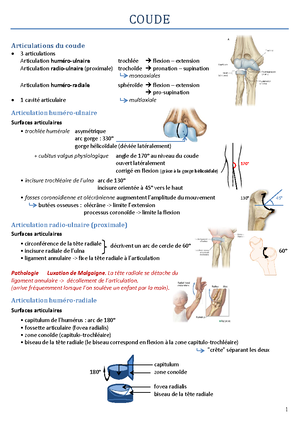 Pathologiën zenuwen - pathologiën - Pathologiën zenuwen N. Ulnaris ...