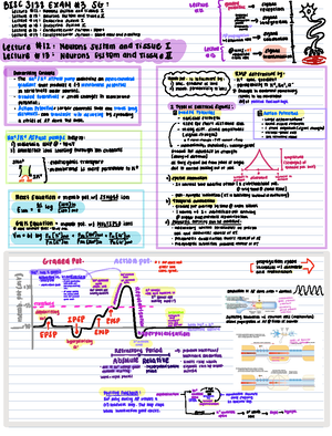 BISC 3122 Chapter 6 - Anatomy and Physiology - Chapter 6 - Bones ...