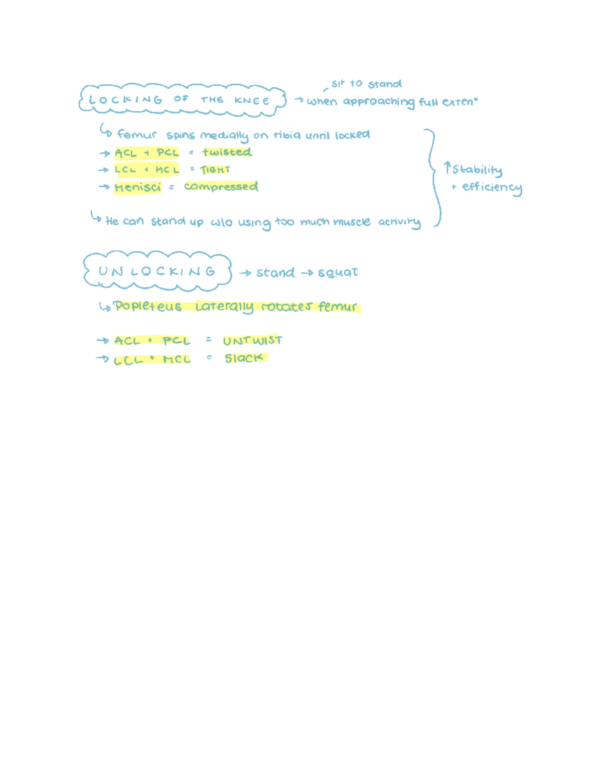 Locking and unlocking of the knee - Sit to stand LOCKING OF THE KNEE ...