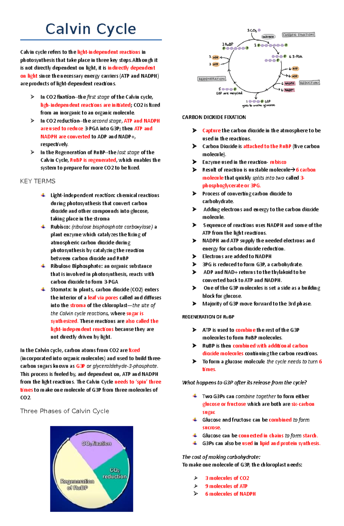 Calvin Cycle Notes - gen bio 1 - Calvin Cycle Calvin cycle refers to ...