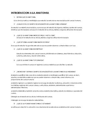 Manual de dibujo de Netter - Estructuras y Sist Anatómicos - Studocu