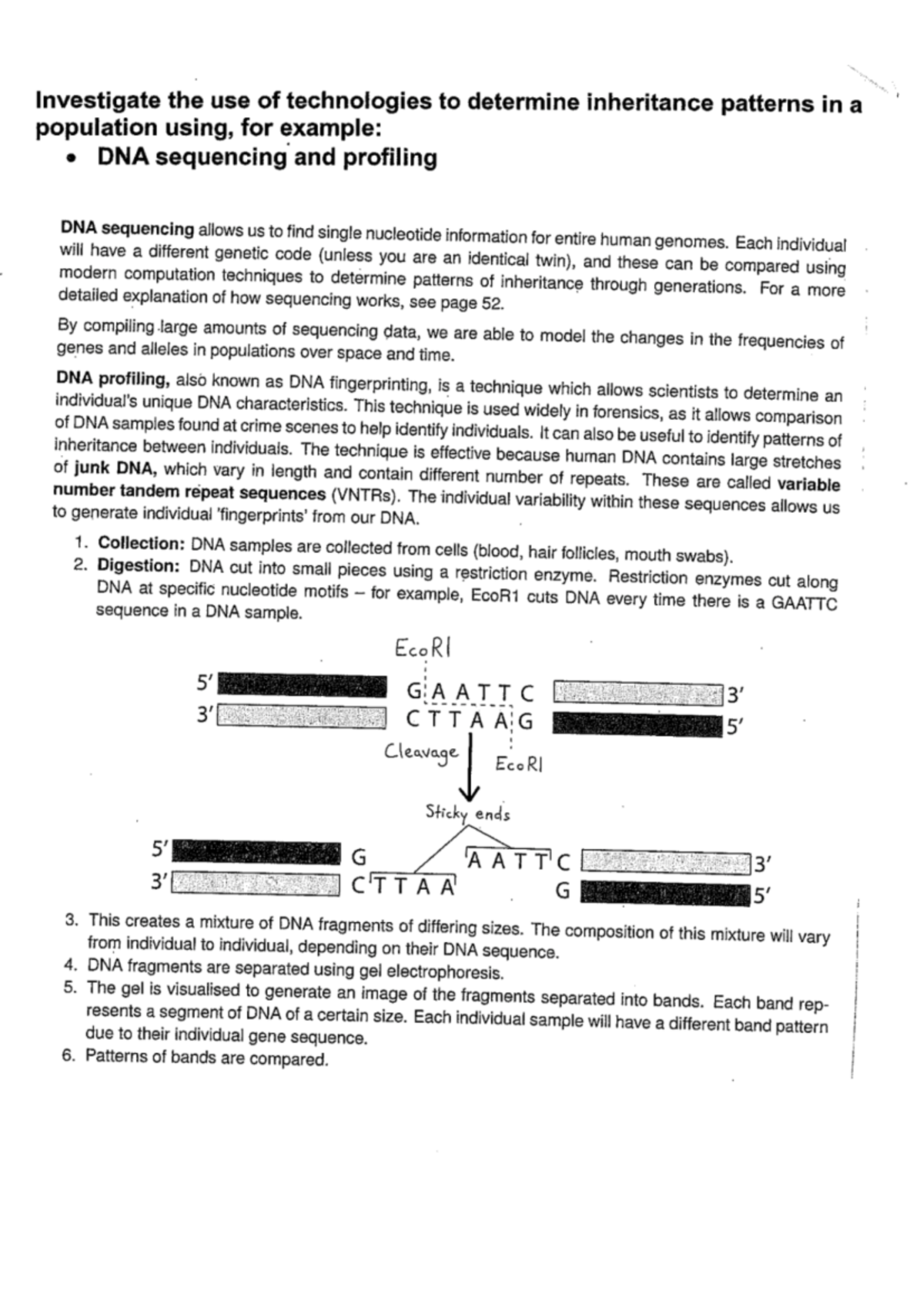 DNA Sequencing and Profiling - Studocu