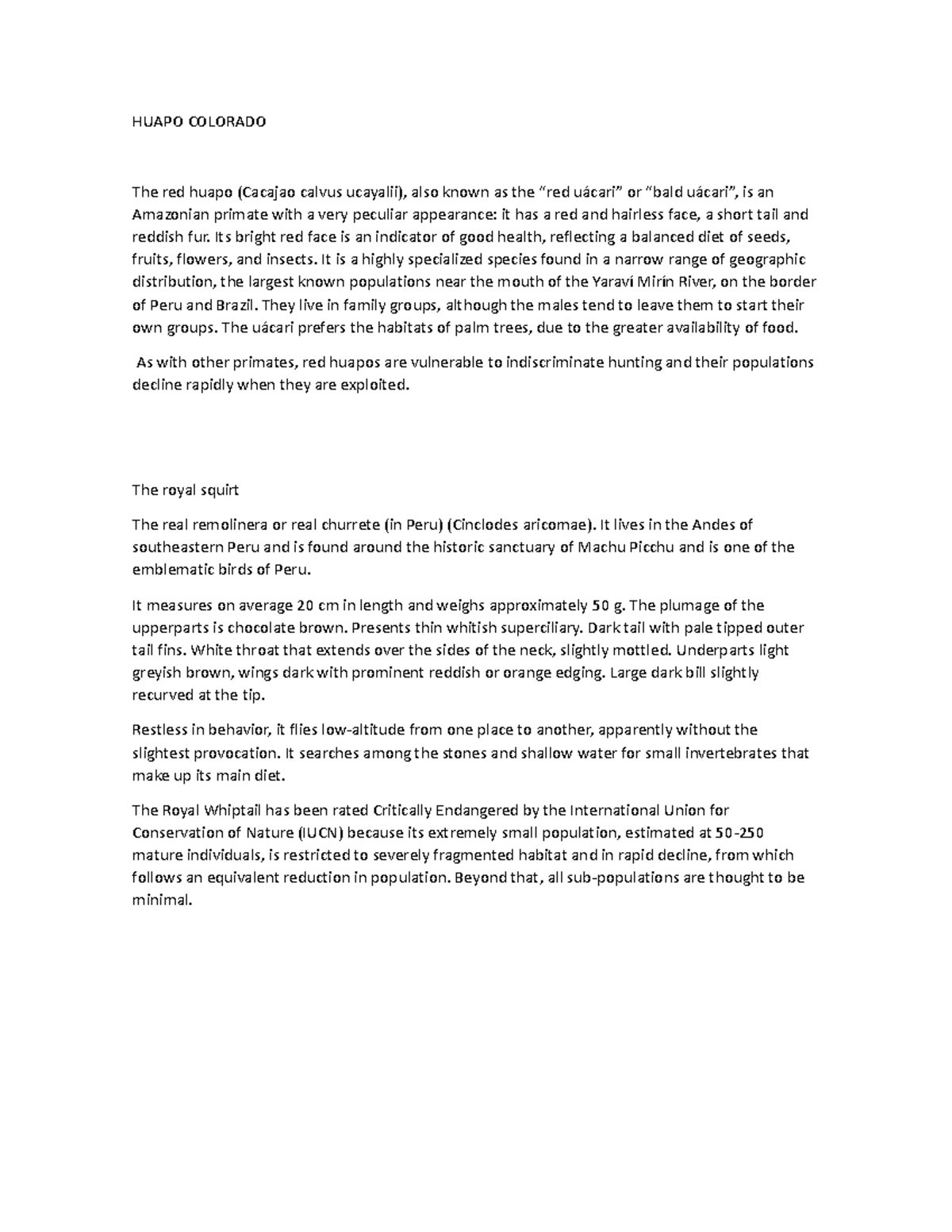 Trabajó de ingles - ... - HUAPO COLORADO The red huapo (Cacajao calvus ...