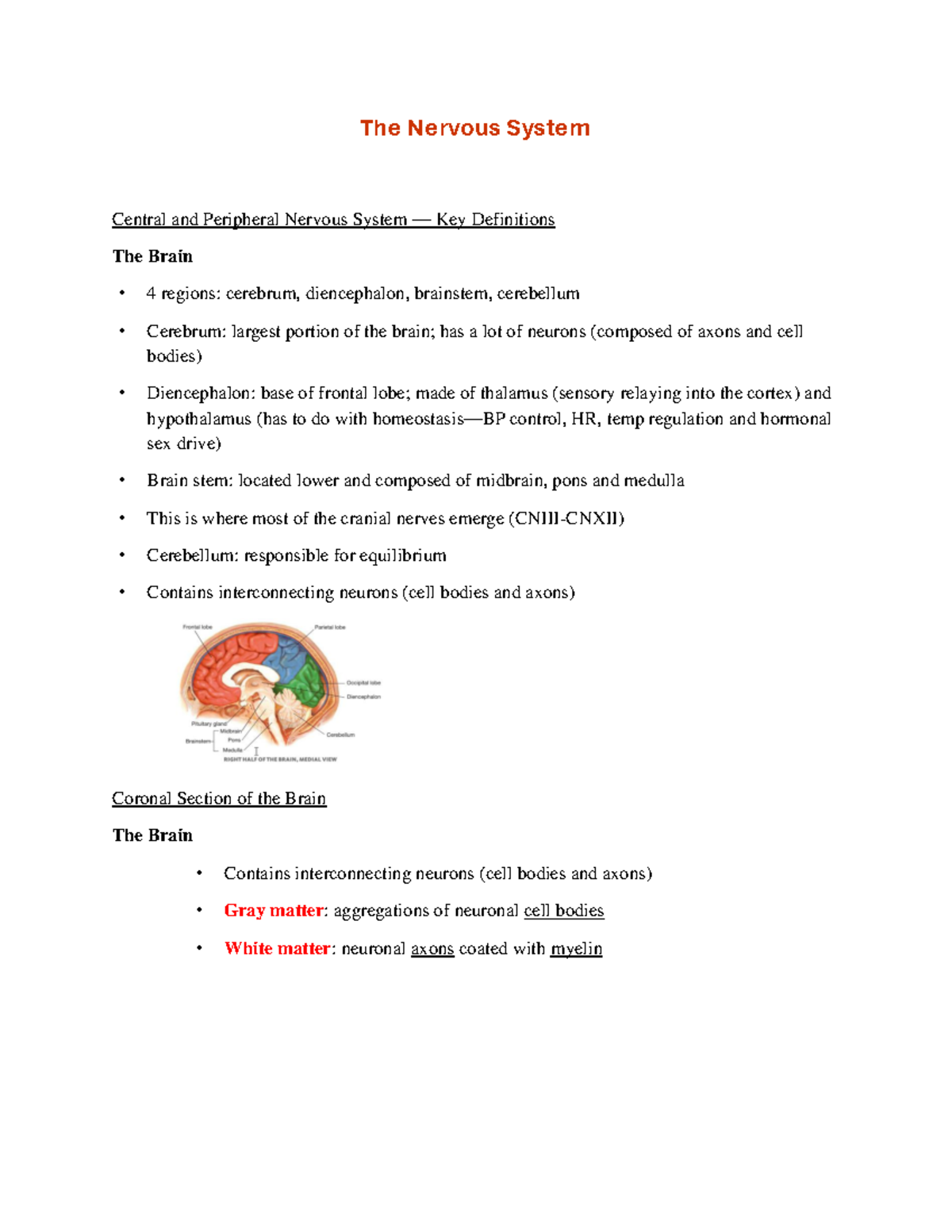 Final content Advanced health assesment - The Nervous System Central ...
