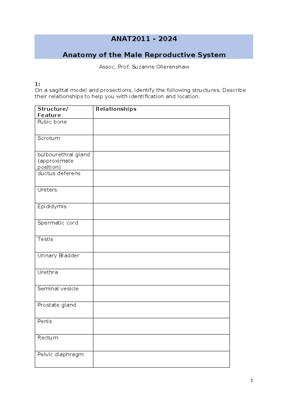 Male Reproductive System PRAC notes ANAT2011 2024 - ANAT2011 - 2024 ...