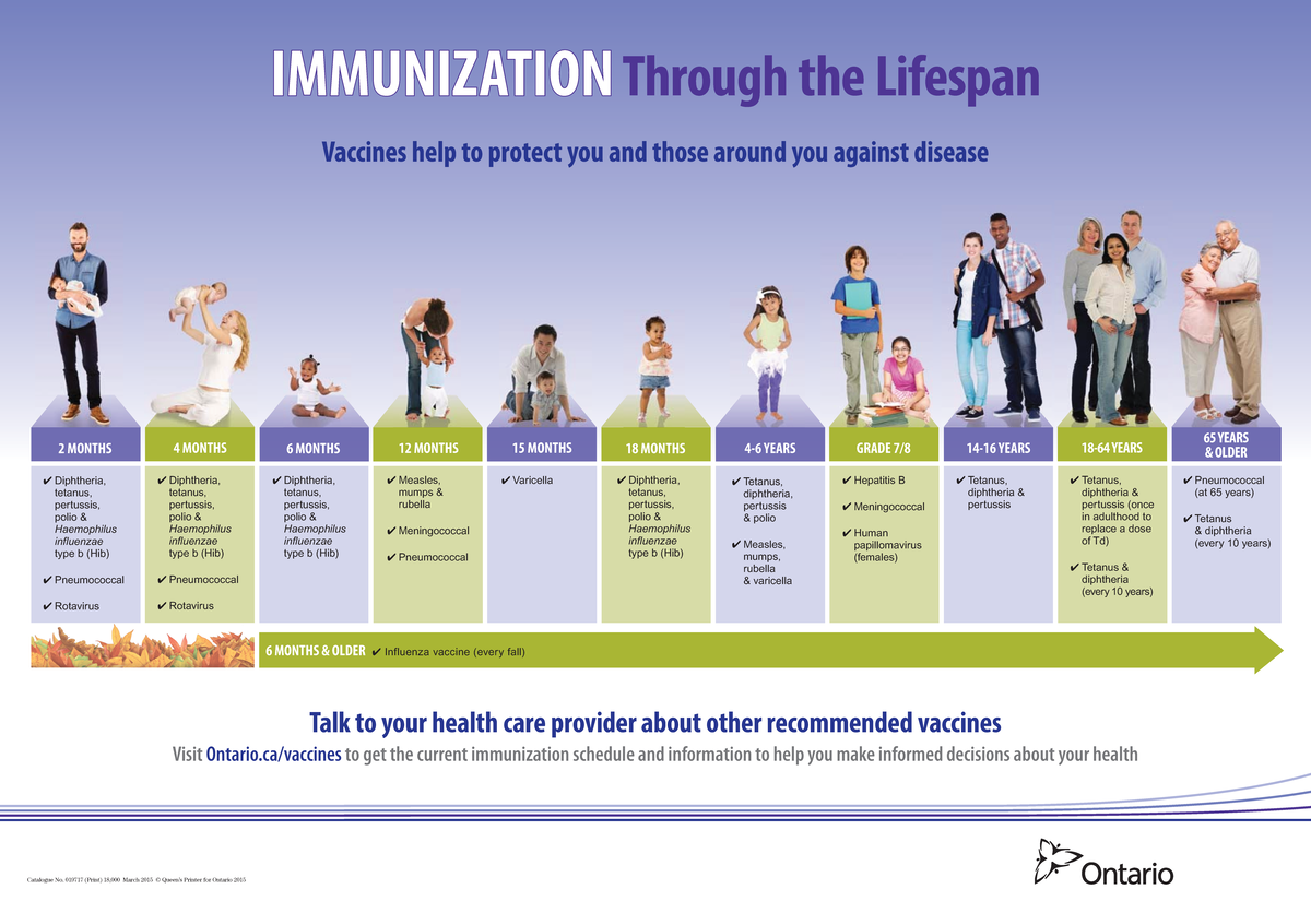 Immunization poster lifespan - Catalogue No. 019717 - Studocu
