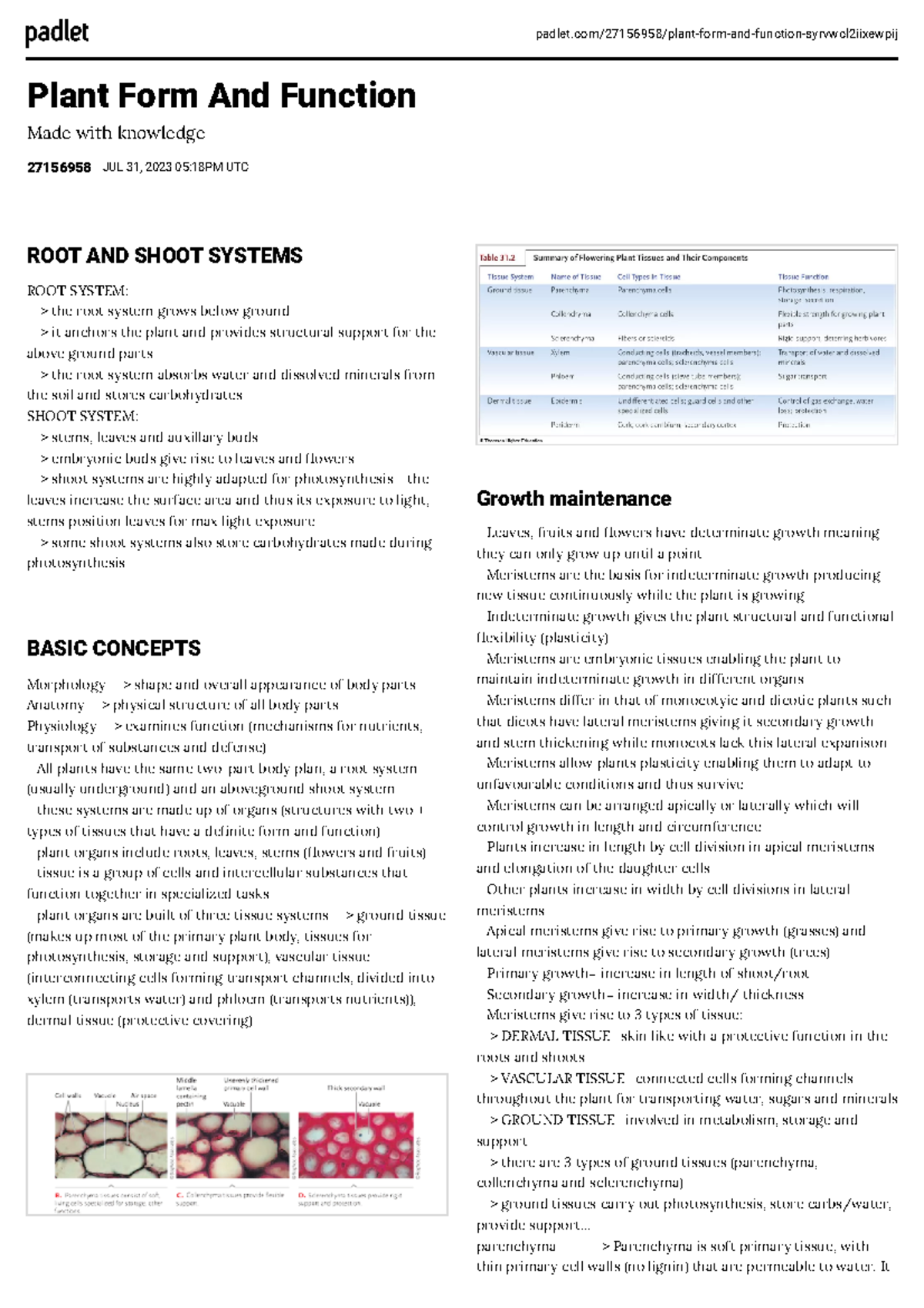 Bio154 plant form and function - padlet/27156958/plant-form-and-function-syrvwcl2iixewpij Plant ...