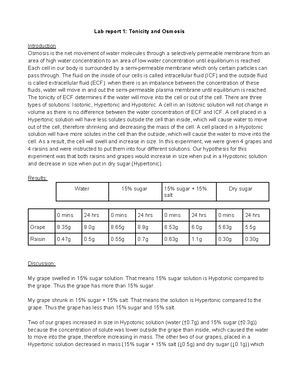 Lab report 3 cardiac output - Lab report 3: Cardiac Output Background ...