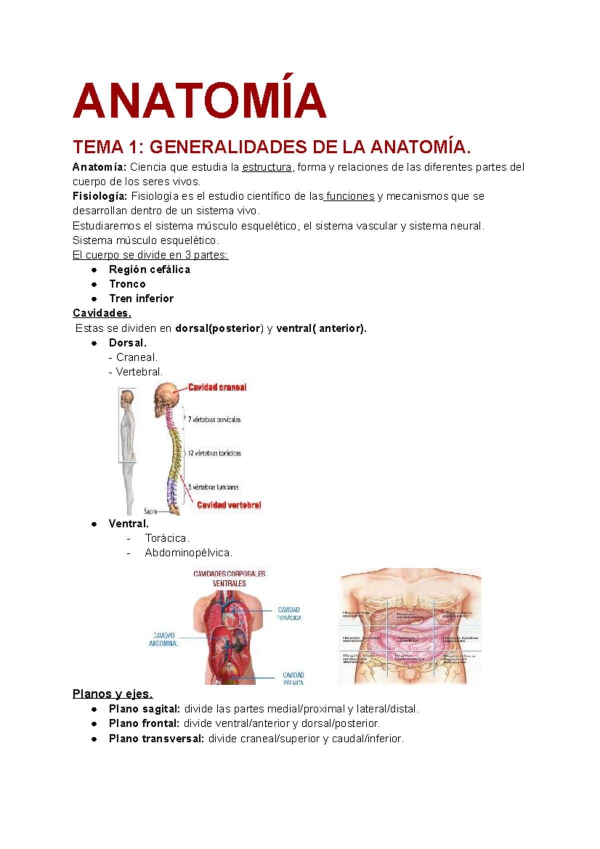 Generalidades de la anatomia - ANATOMÍA TEMA 1: GENERALIDADES DE LA ...