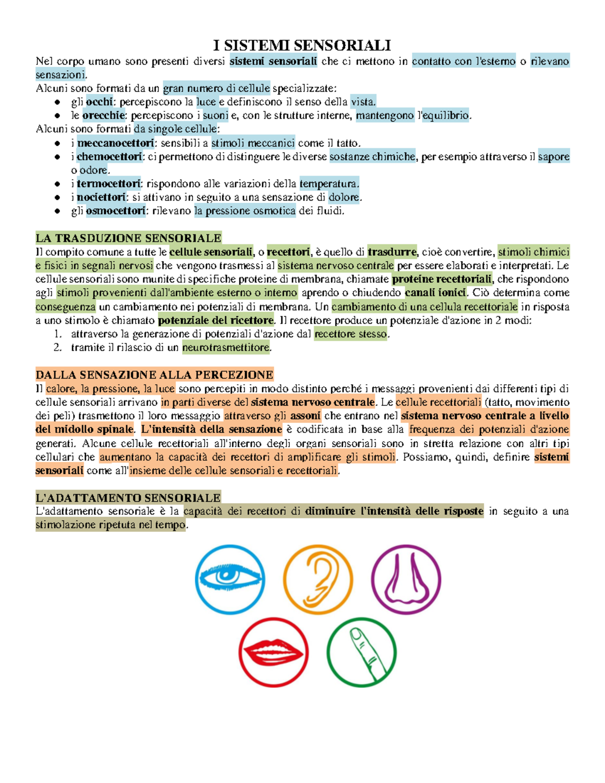 Organi DI Senso - Riassunto - I SISTEMI SENSORIALI Nel corpo umano sono ...