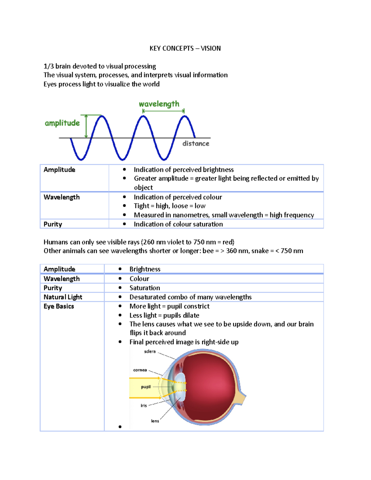 KEY Concepts - Vision - PSYCH 1XX3 NOTES - KEY CONCEPTS – VISION 1/3 ...