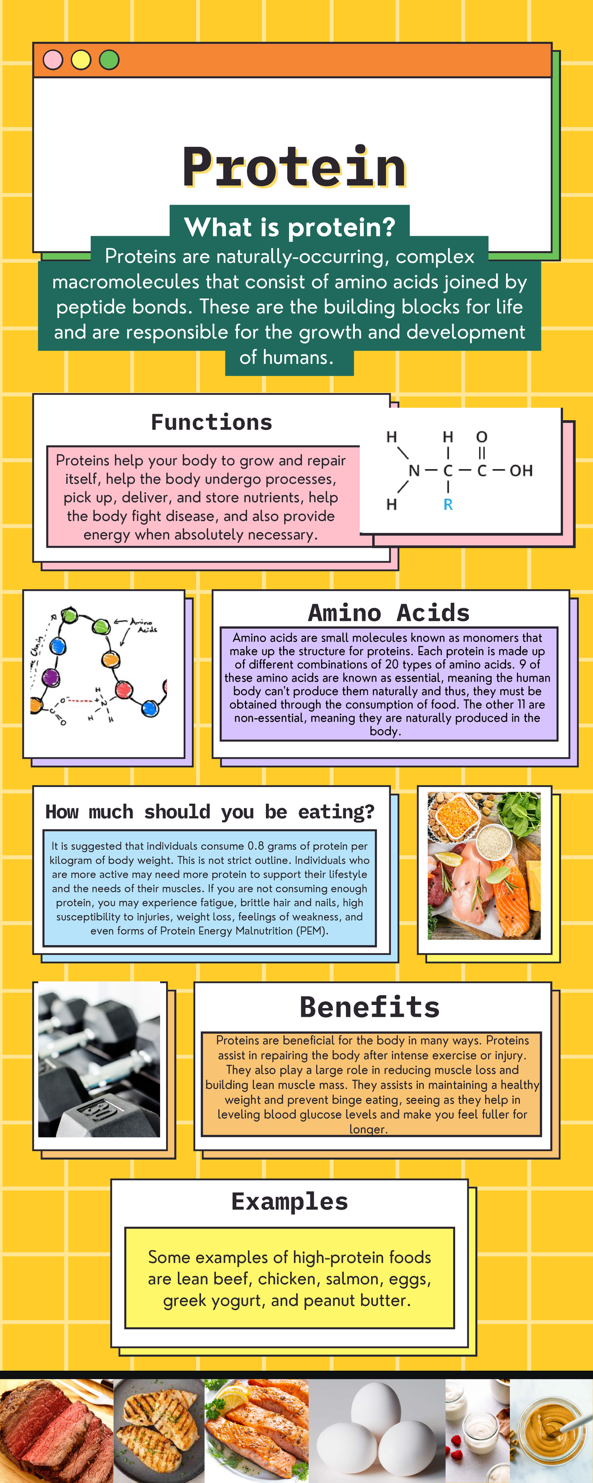 Protein Infographic - ProteinProtein Proteins are beneficial for the ...
