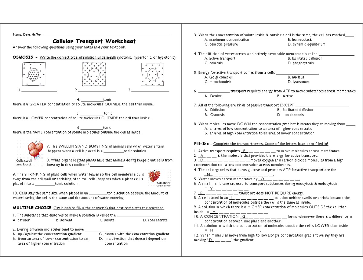 Cellular Transport Worksheet - Name, Date, - Studocu