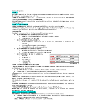 ##common - p´kpk´k´pk´pk - Marcos KAPLAN Heilbroner, Robert L ...