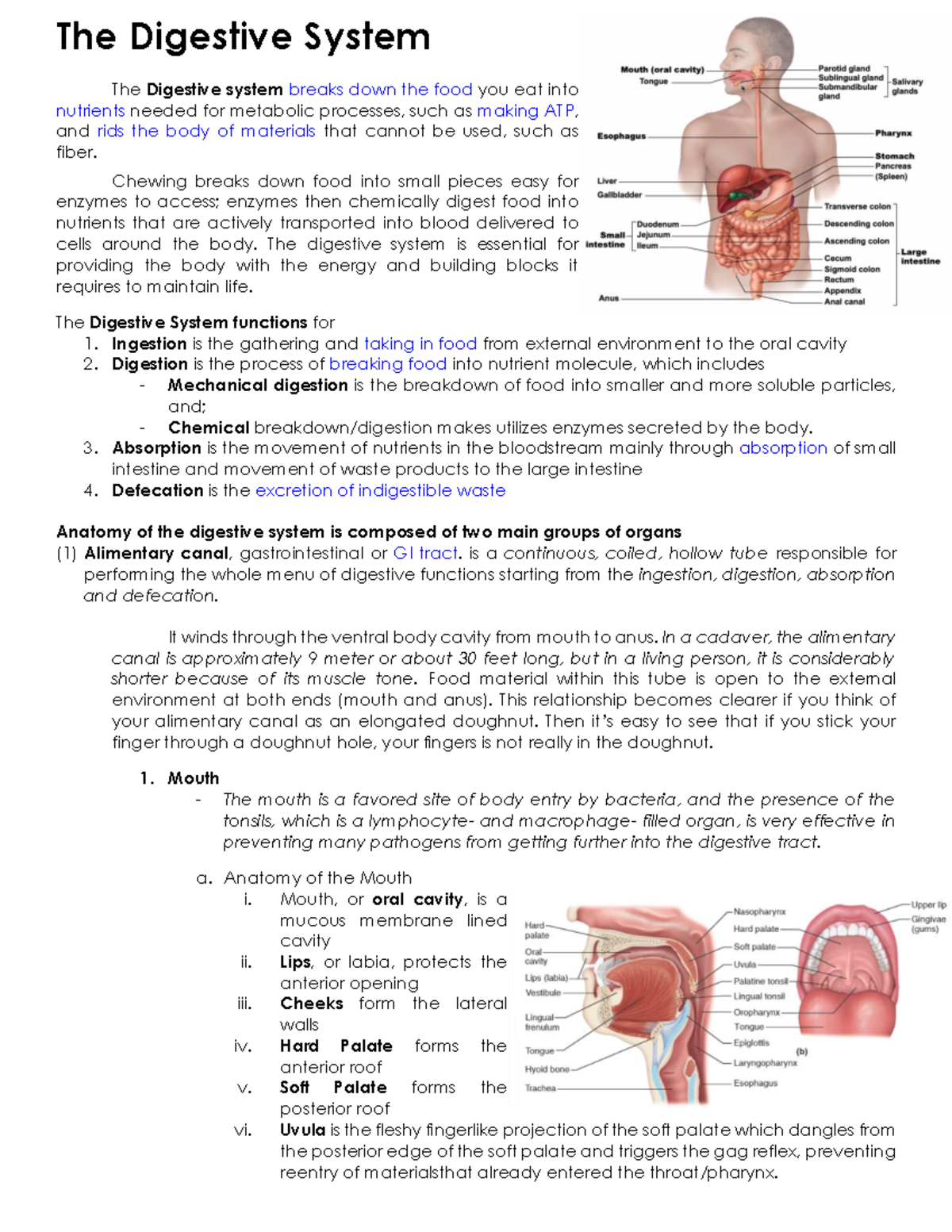Digestive System and Nutrition, Reproductive System, and Urinary System ...