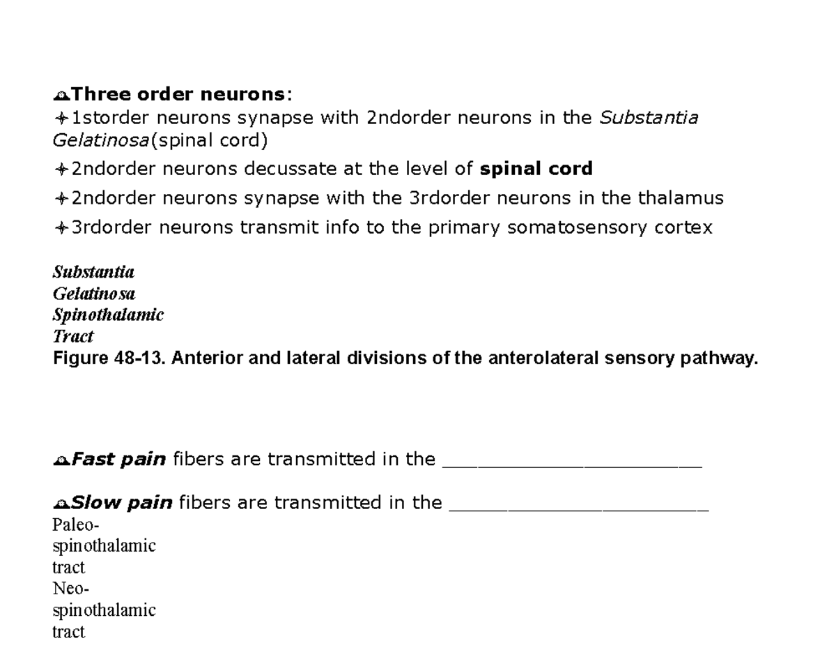 Three order neurons - Three order neurons: 1storder neurons synapse ...