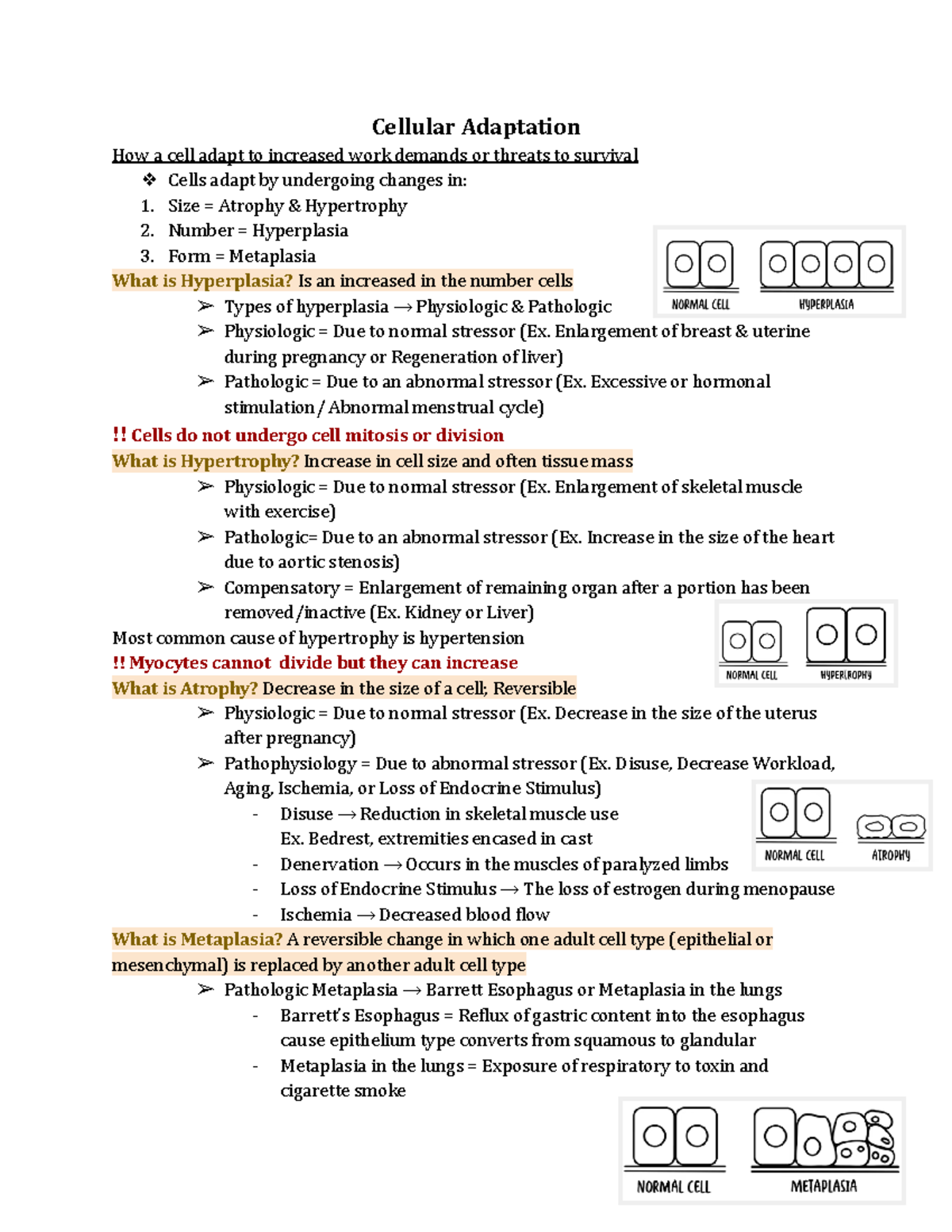 Patho Exam 1 Study Guide - Cellular Adaptation How a cell adapt to increased work demands or ...