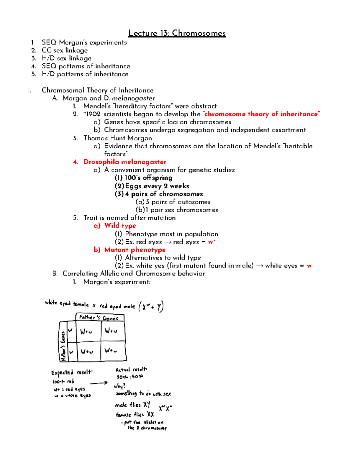 Biology Chapter 13 - Chromosomes - Lecture 13: Chromosomes SEQ Morgan’s ...