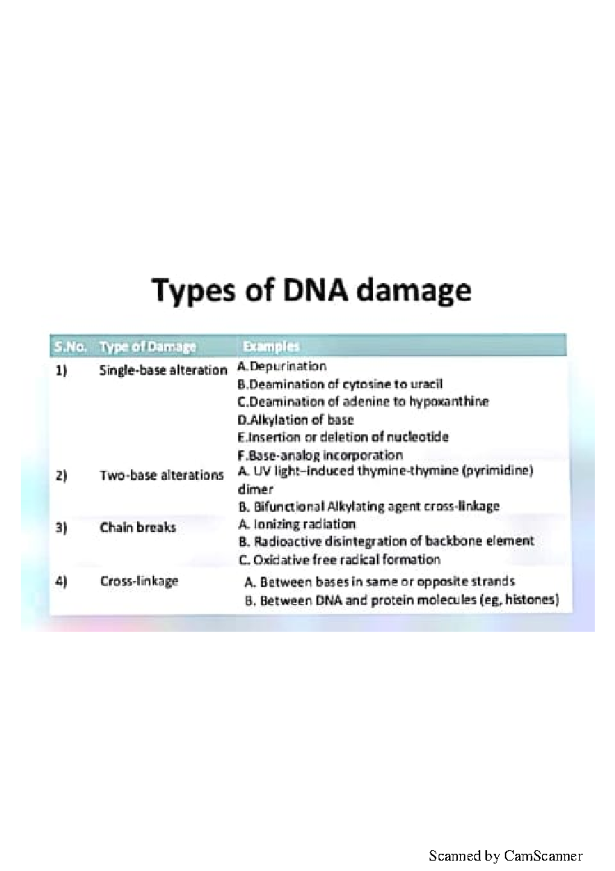 Dna Repair Lecture Notes Molecular Biology Lecture Notes Bsc