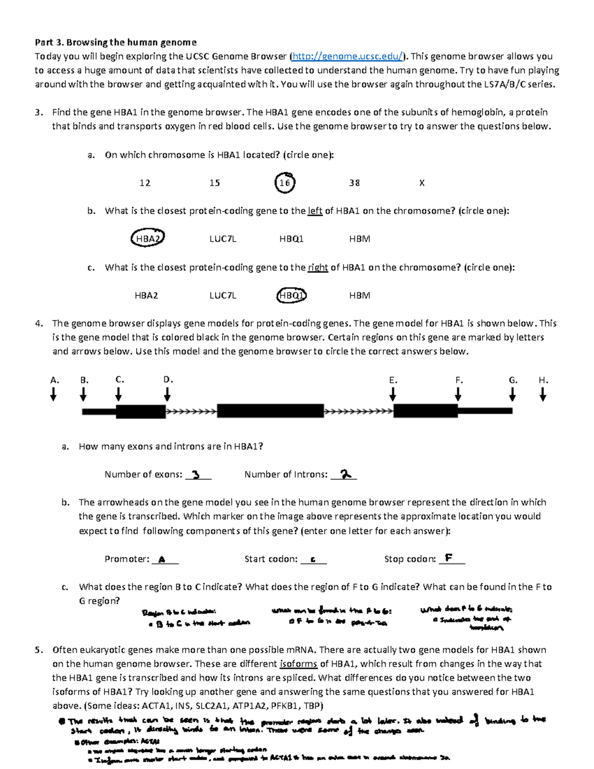 Life Science 7A-16 - Part 3. Browsing the human genome Today you will ...