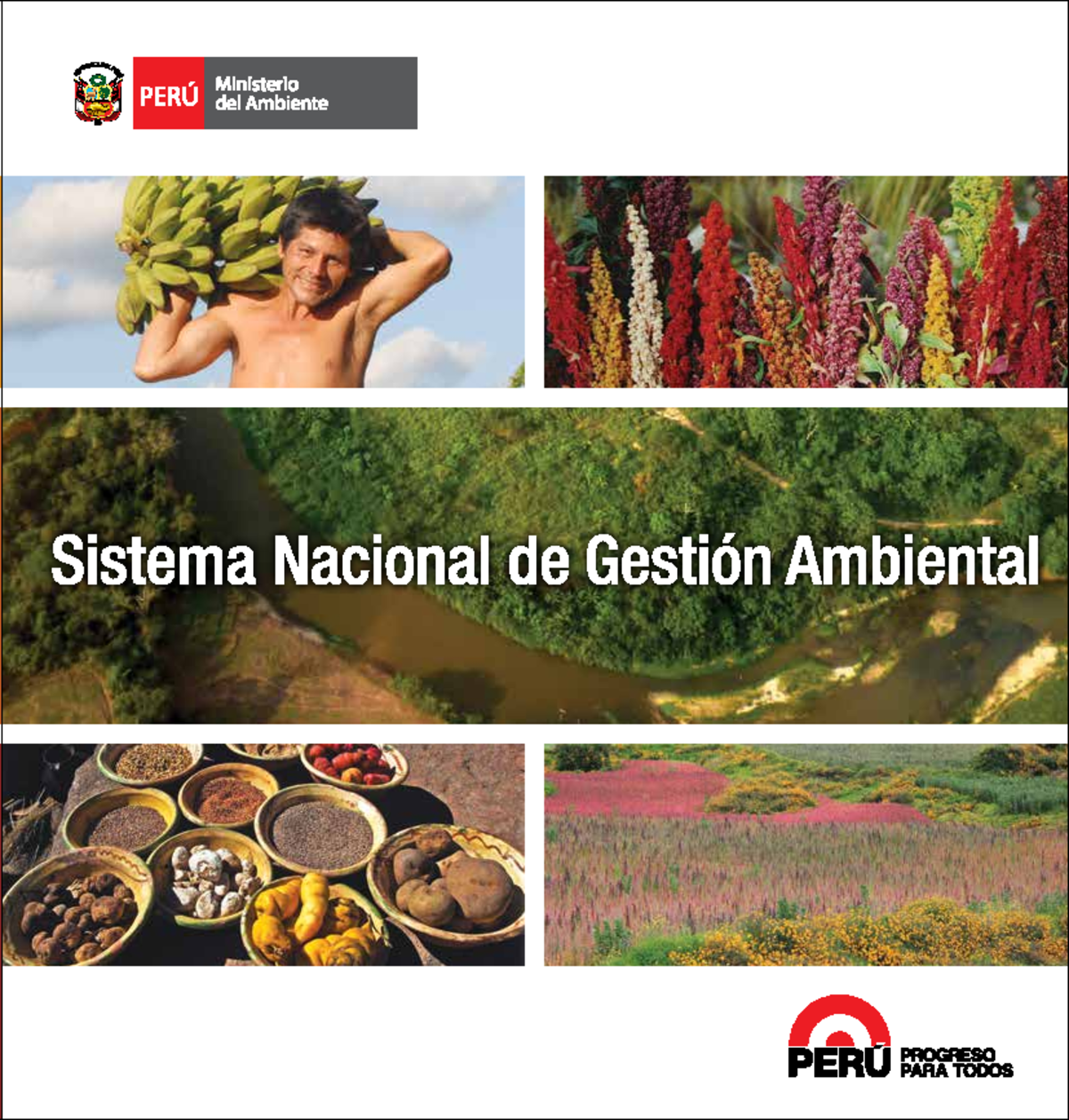 Sistema Nacional de Gestión Ambiental-SNGA Minam - Sistema Nacional de ...