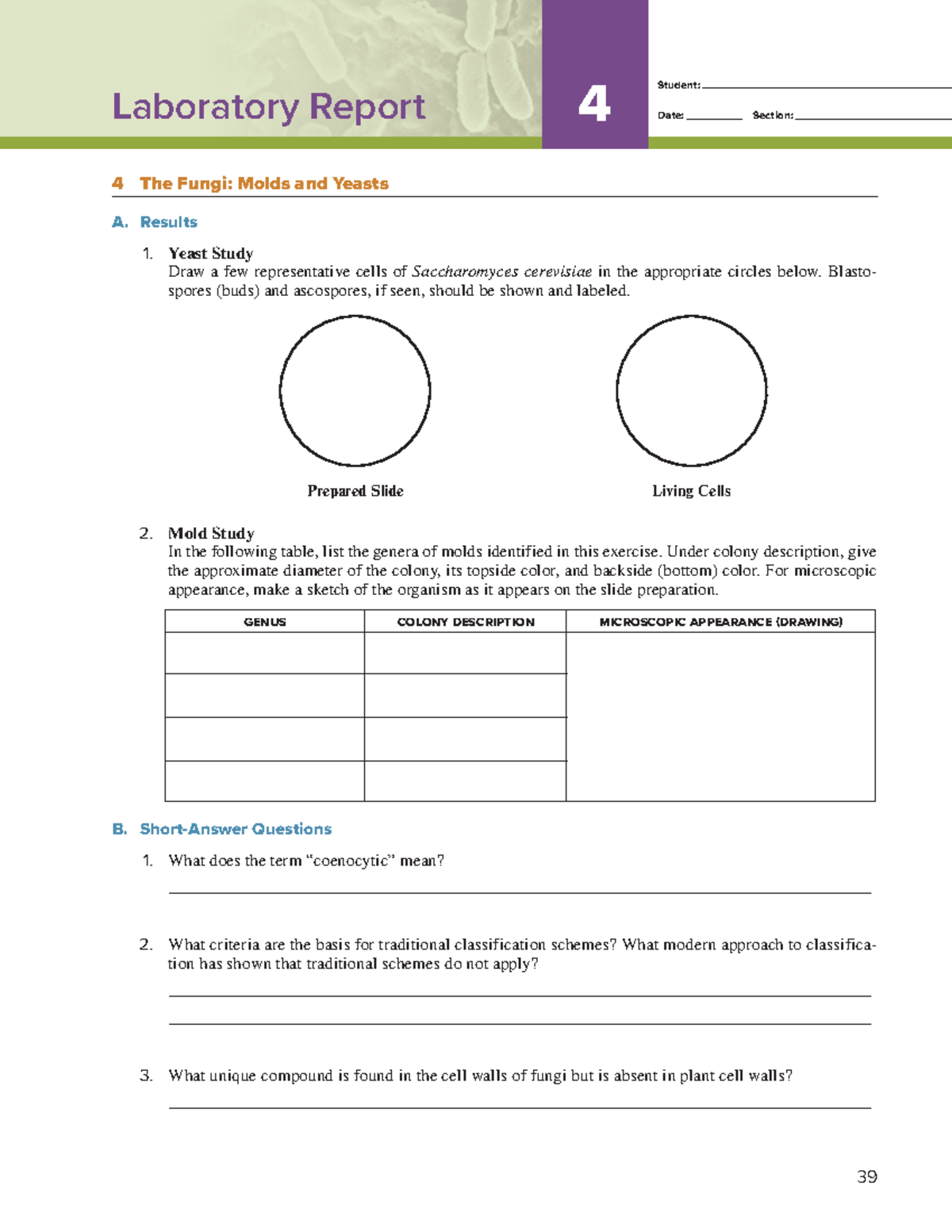 Exercise 04 Lab Report - none - Student: Date: Section: 39 Laboratory ...