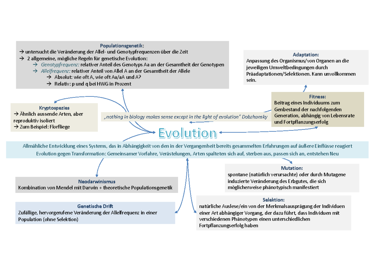 EVO Lernzettel - Allmähliche Entwicklung eines Systems, das in ...