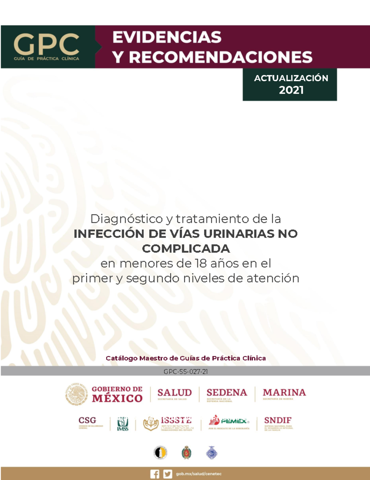 ER - Nueva guía de práctica clinica - DiagnÛstico y tratamiento de la INFECCI”N DE VÕAS ...