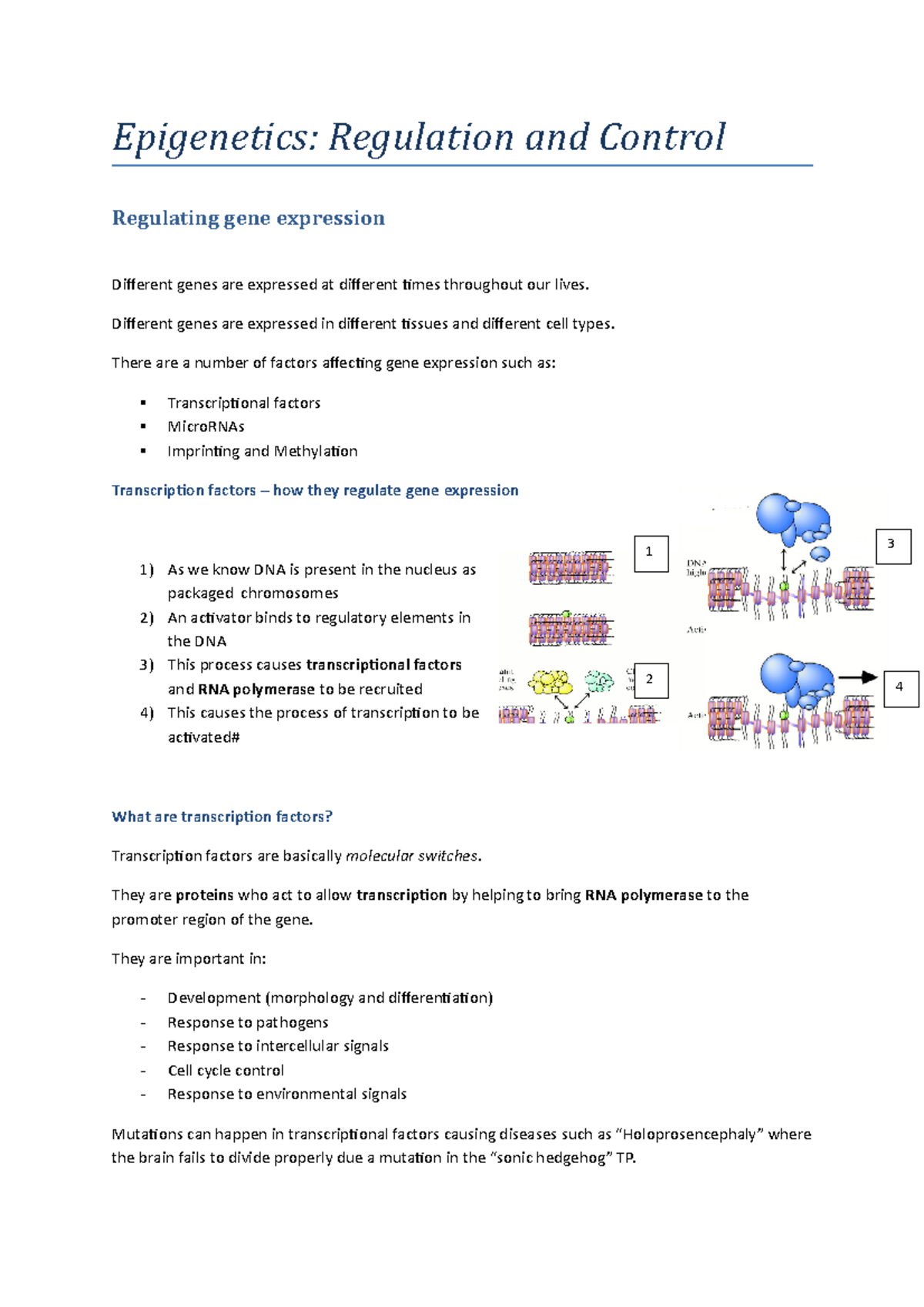 3-Epigenetics - Epigenetics: Regulation and Control Regulating gene ...