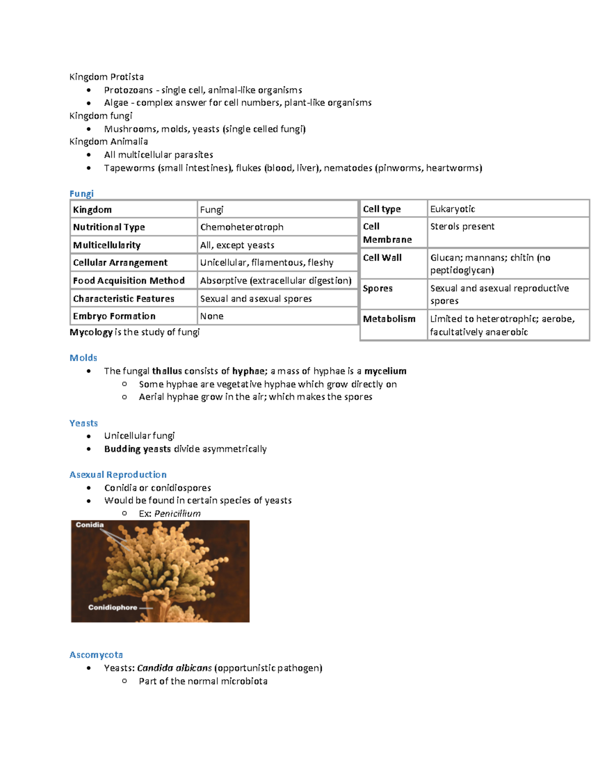 Ch 5 The Eukaryotes- Fungi, Algae, Protozoa, and Helminths - Kingdom ...