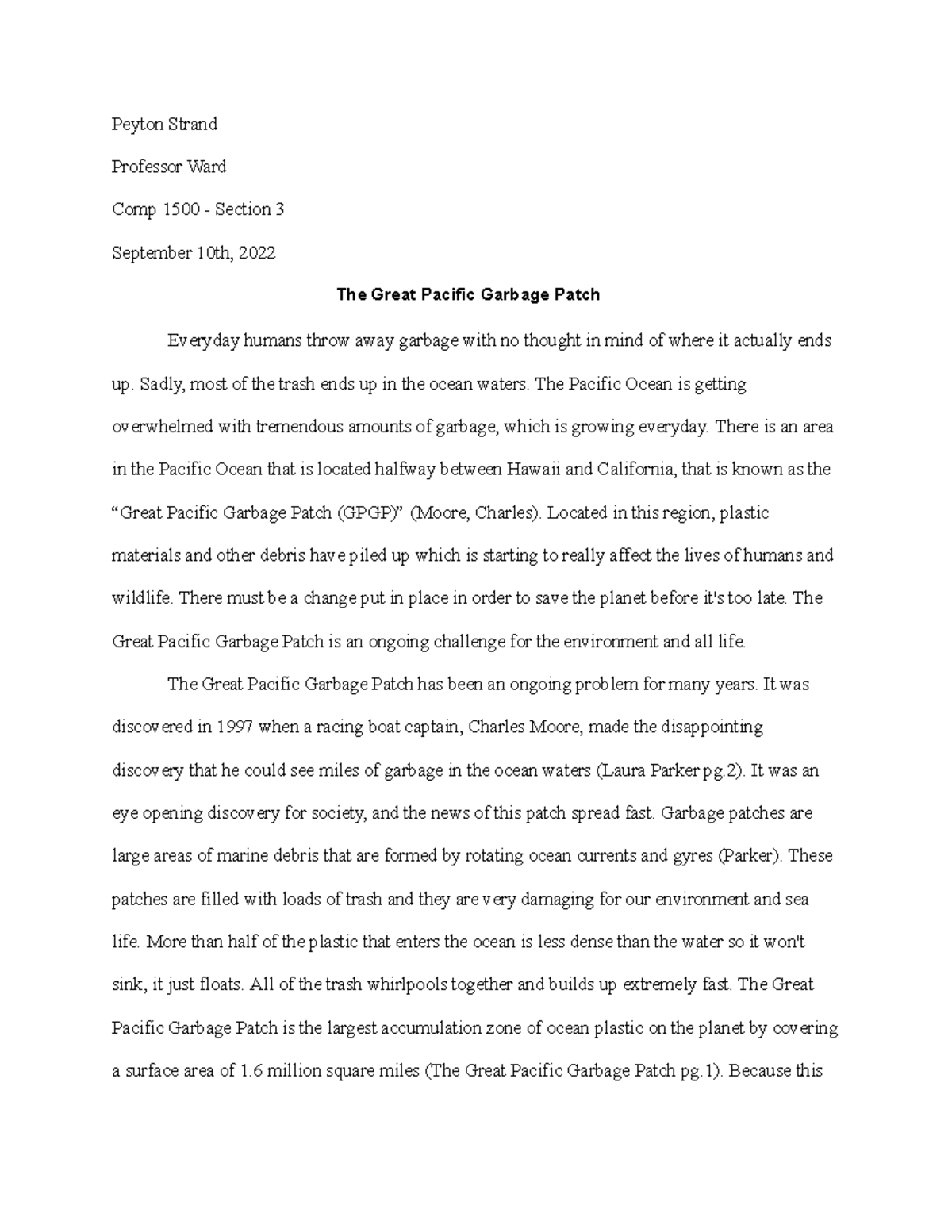 Essay-2 - yes - Peyton Strand Professor Ward Comp 1500 - Section 3 ...