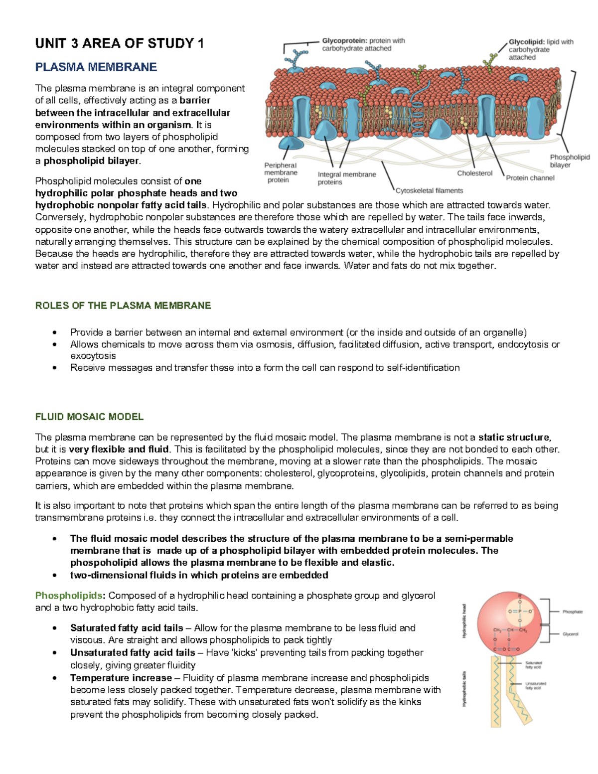 BIO 3&4 - Summary Science - UNIT 3 AREA OF STUDY 1 PLASMA MEMBRANE The ...